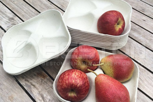 Pulp Moulding Products - Paper Molded Pulp Trays