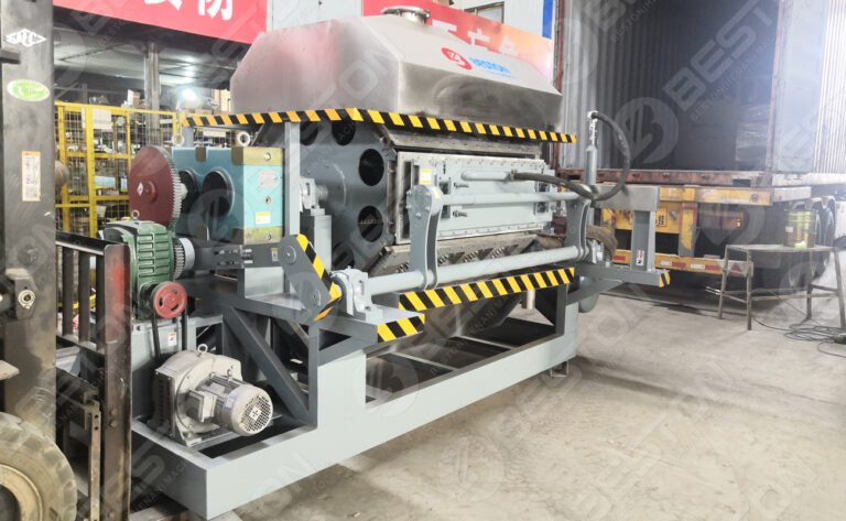 Egg Carton Making Machine for Sale - 6/12/18 Count Pack