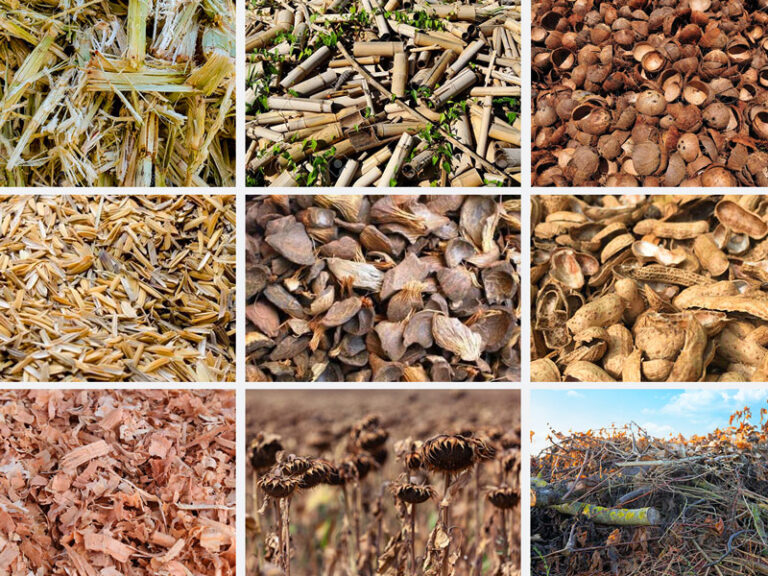 Biochar Pyrolysis Equipment - Beston Group