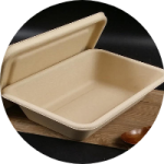 Pulp Molding Tableware Machine - Make Tableware