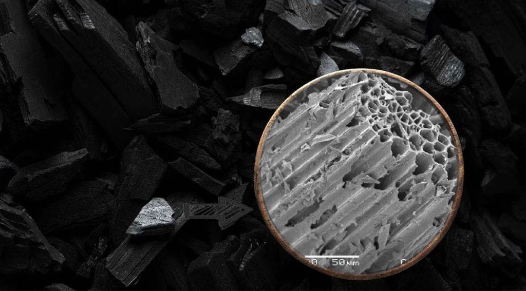 Biochar Animal Feed - Aplicación de Biochar en la cría de animales