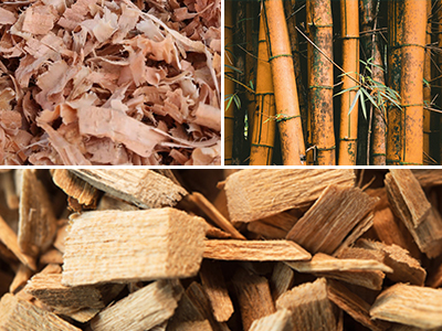 🍃The Ultimate Guide to Investing in a Biomass Pyrolysis Plant