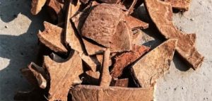 Coconut Shell Charcoal Making Machine - Pyrolysis Solution
