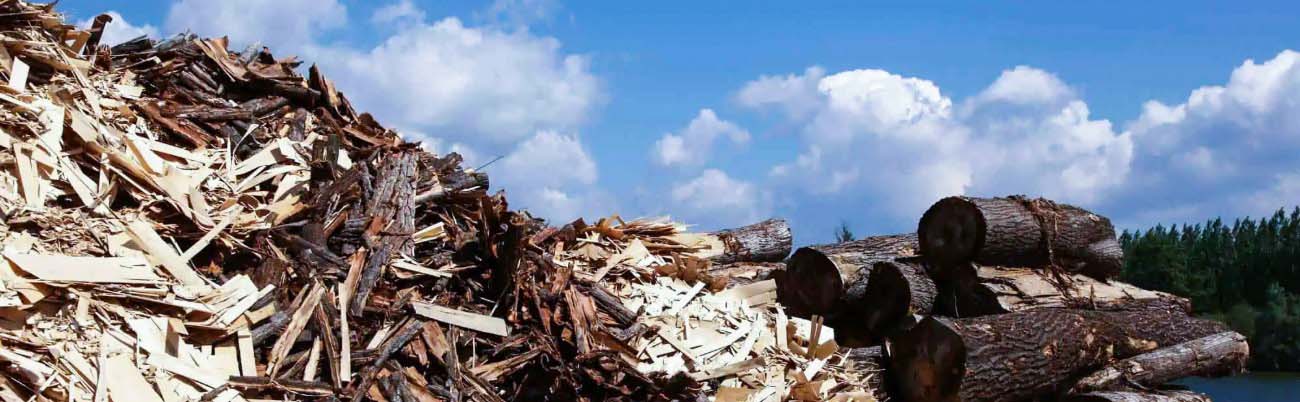 Wood Charcoal Making Machine: Waste Wood Recycling Solution