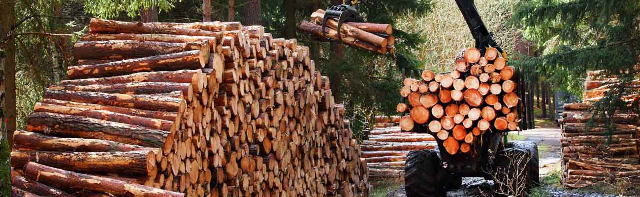 Wood Charcoal Making Machine: Waste Wood Recycling Solution