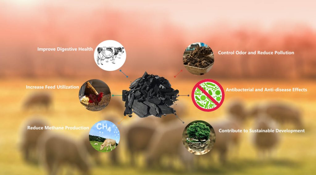 Biochar Animal Feed - Application of Biochar in Animal Husbandry