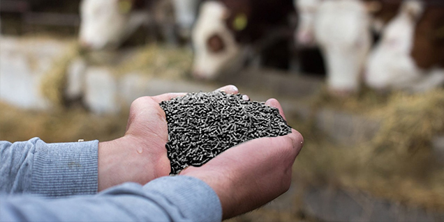 Biochar Pyrolysis Equipment - Beston Group