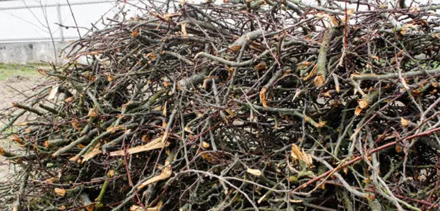 Biochar Pyrolysis Equipment: Sustainable & Profitable Solution